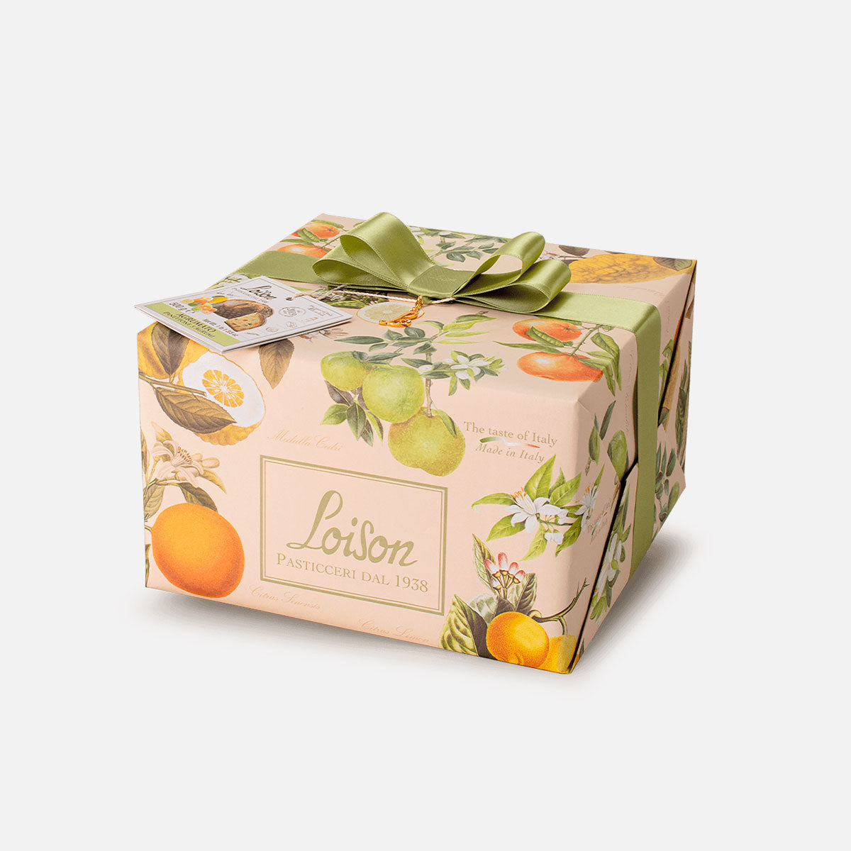 Panettone 5 Citrus Fruits – Sweetaly